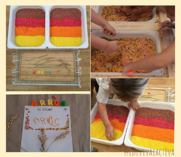 5 actividades infantiles de otoño - Aula Mininautas