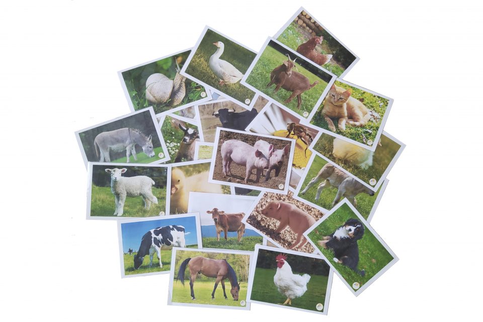 Tarjetas-Animales de la granja - Aula Mininautas